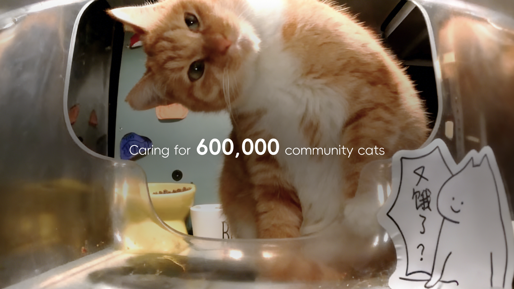 Purrrr Feeder