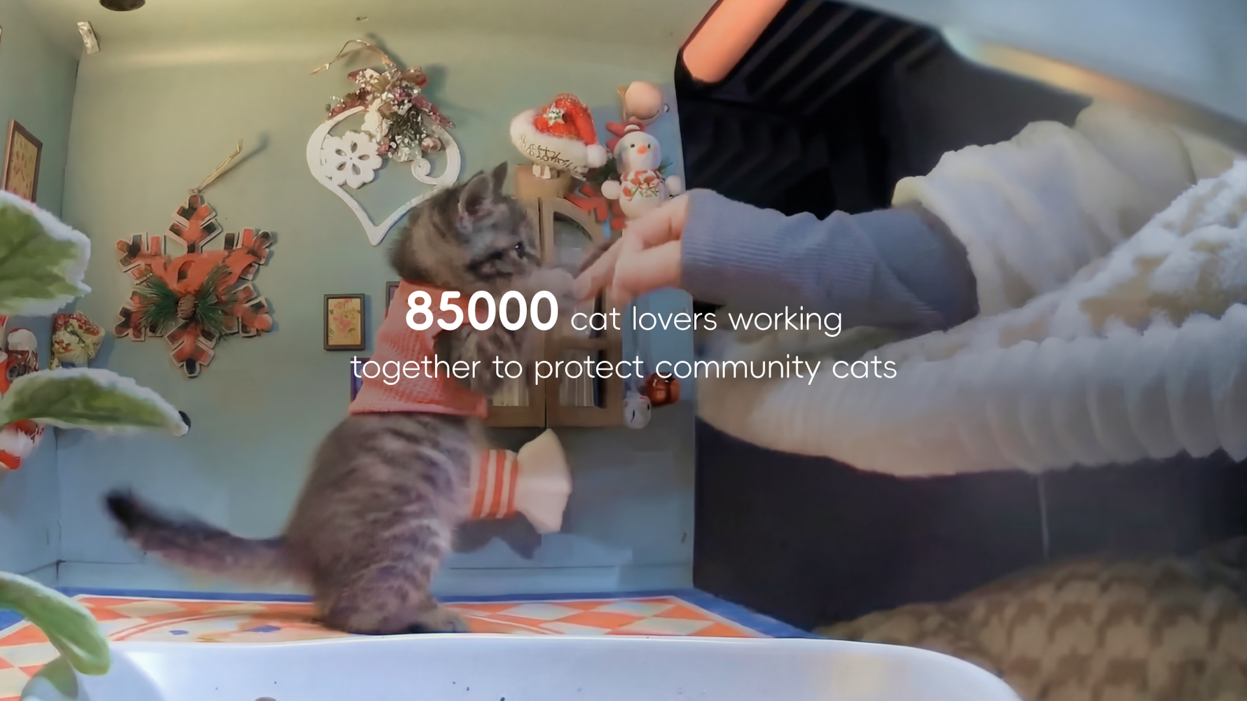 Purrrr Feeder